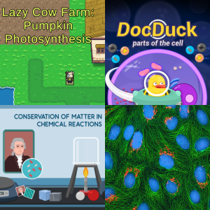 Worksheet: Conservation of Matter in Chemical Reactions MS-PS1.B-2 ...